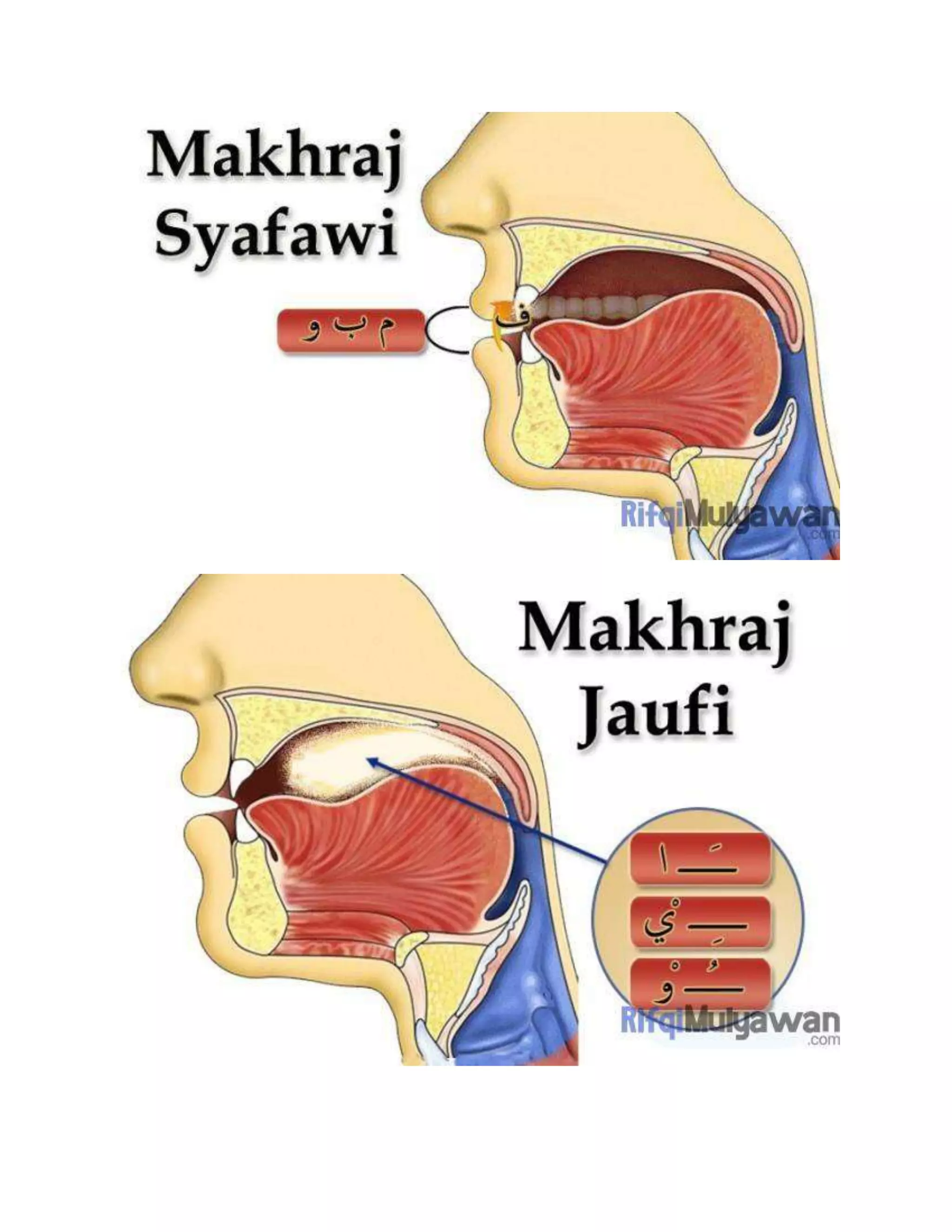 Makhraj Huruf.docx