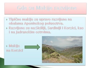 Makije | PPTX
