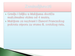 Makije | PPTX