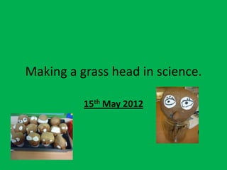 Making a grass head in science | PPTX