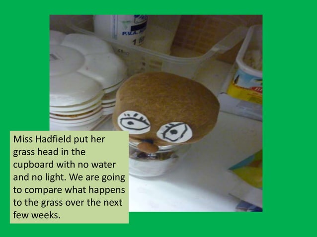 Making a grass head in science | PPTX