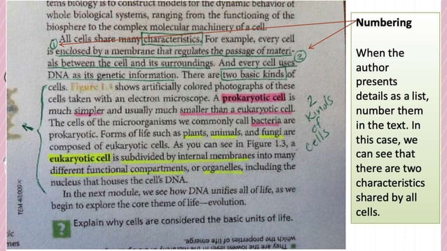 Making annotations | PPTX | Education