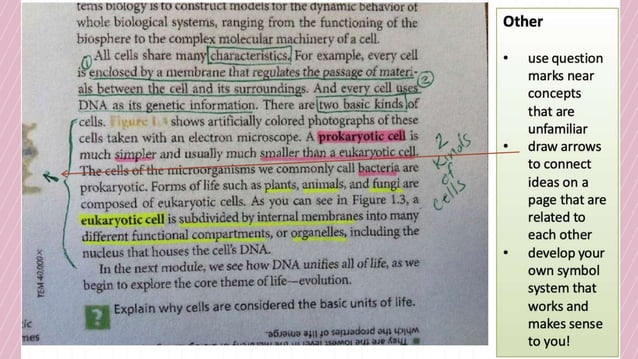 Making annotations | PPTX | Education