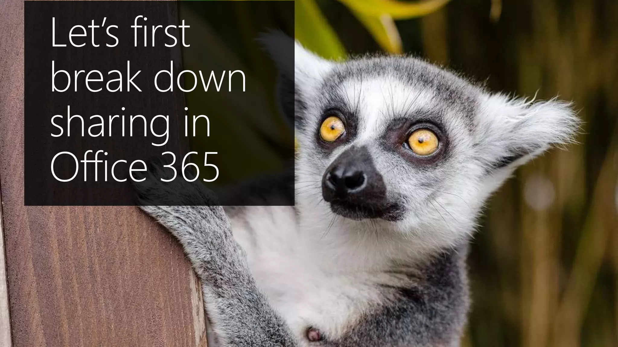 Making a real world sharing strategy for SharePoint, OneDrive & Teams | PPT