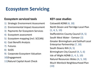 National Ecosystem Assessment Follow on: Making a tool of yourself | PPT