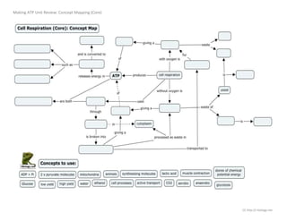 Aerobic Respiration Concept Map