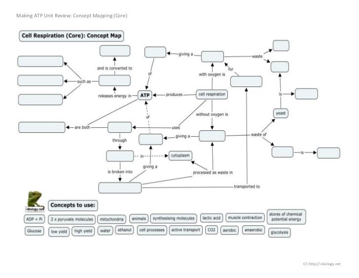 Making ATP Concept Mapping Review
