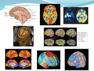 50 Practical Applications of Mind Brain, and Education Science. Tracey ...