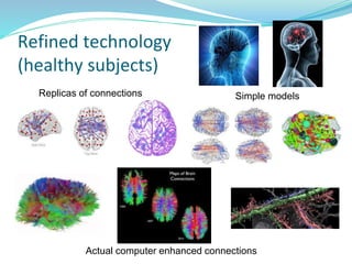50 Practical Applications of Mind Brain, and Education Science. Tracey ...