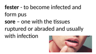 Making Connections in Text_ENGLISH 9.pptx