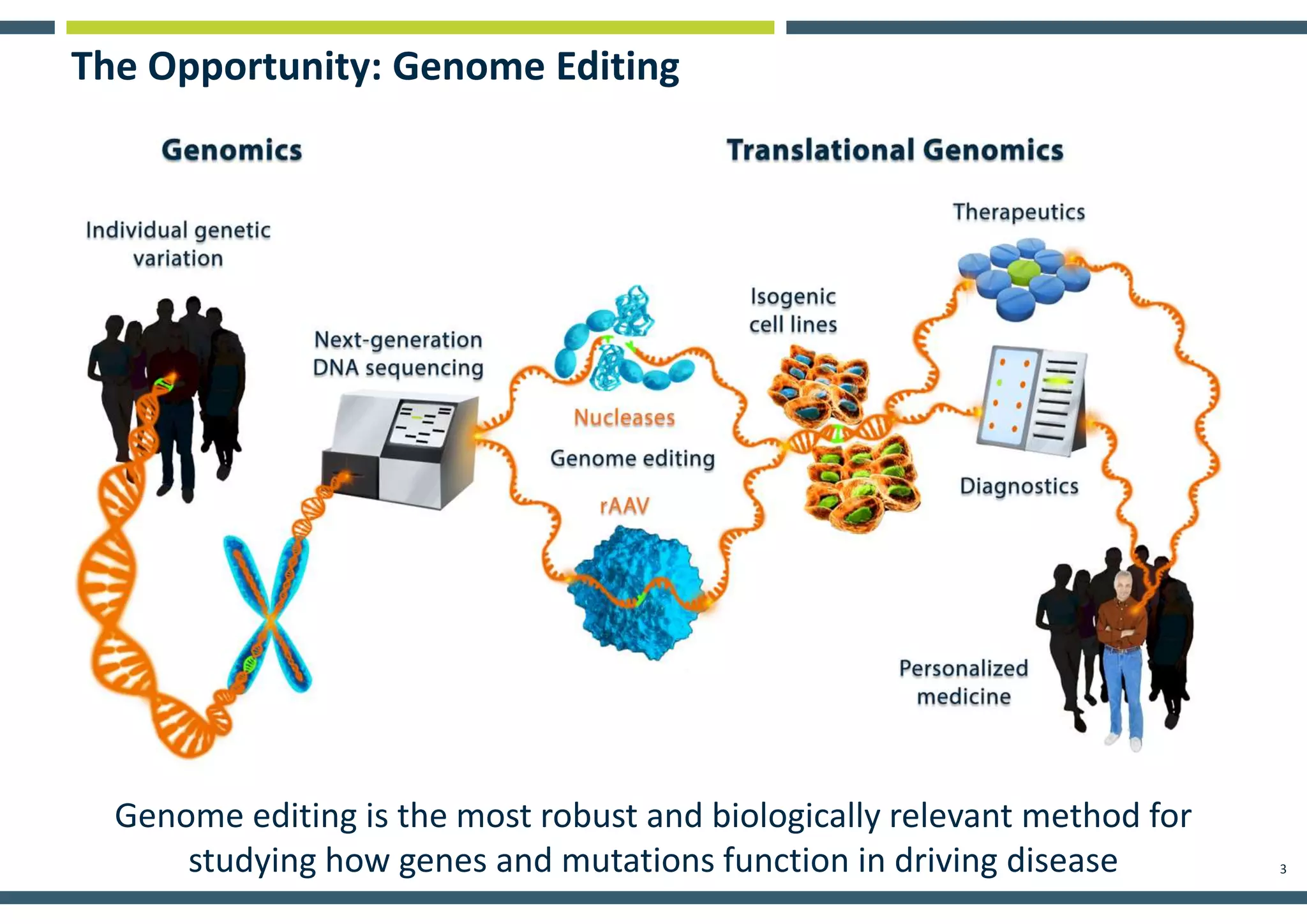 Making genome edits in mammalian cells | PPTX | Biological Sciences ...