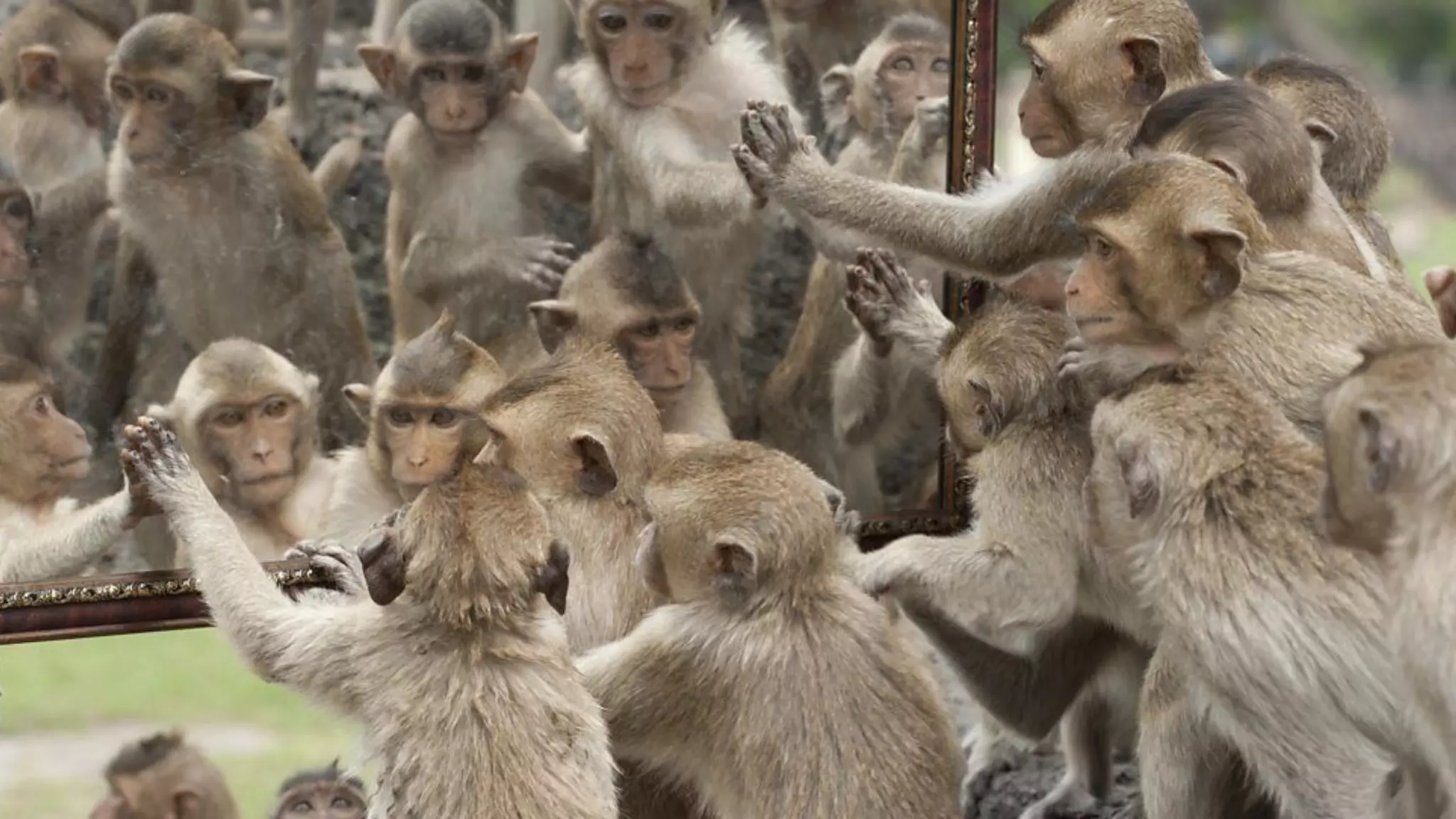 Making Good Teams Great with Retrospectives | PDF