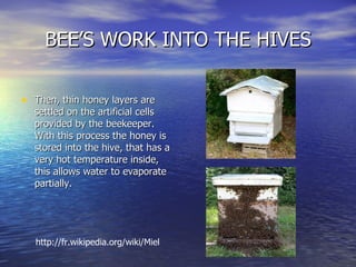 Making honey | PPT