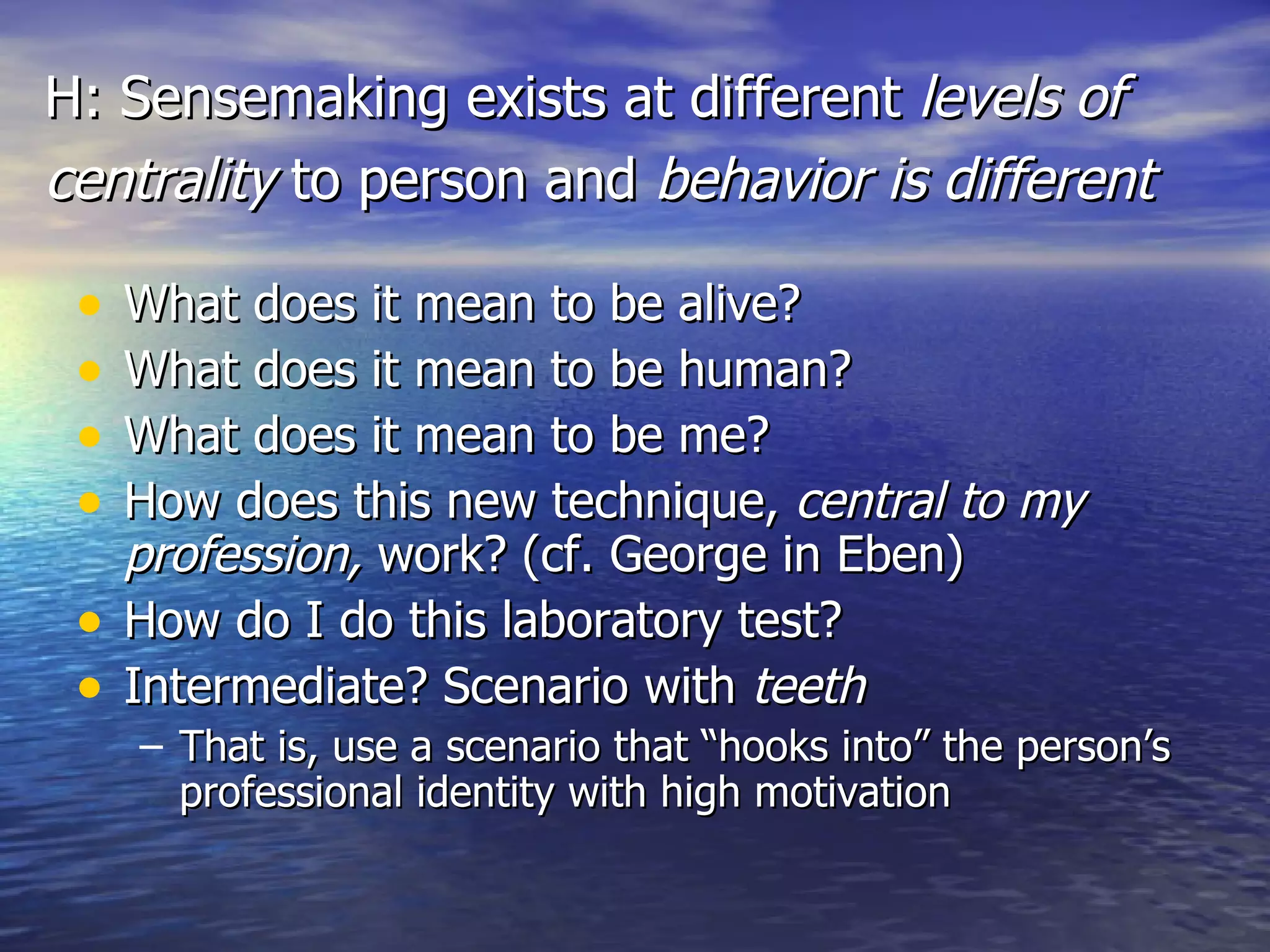 Making sense of sensemaking | PPT