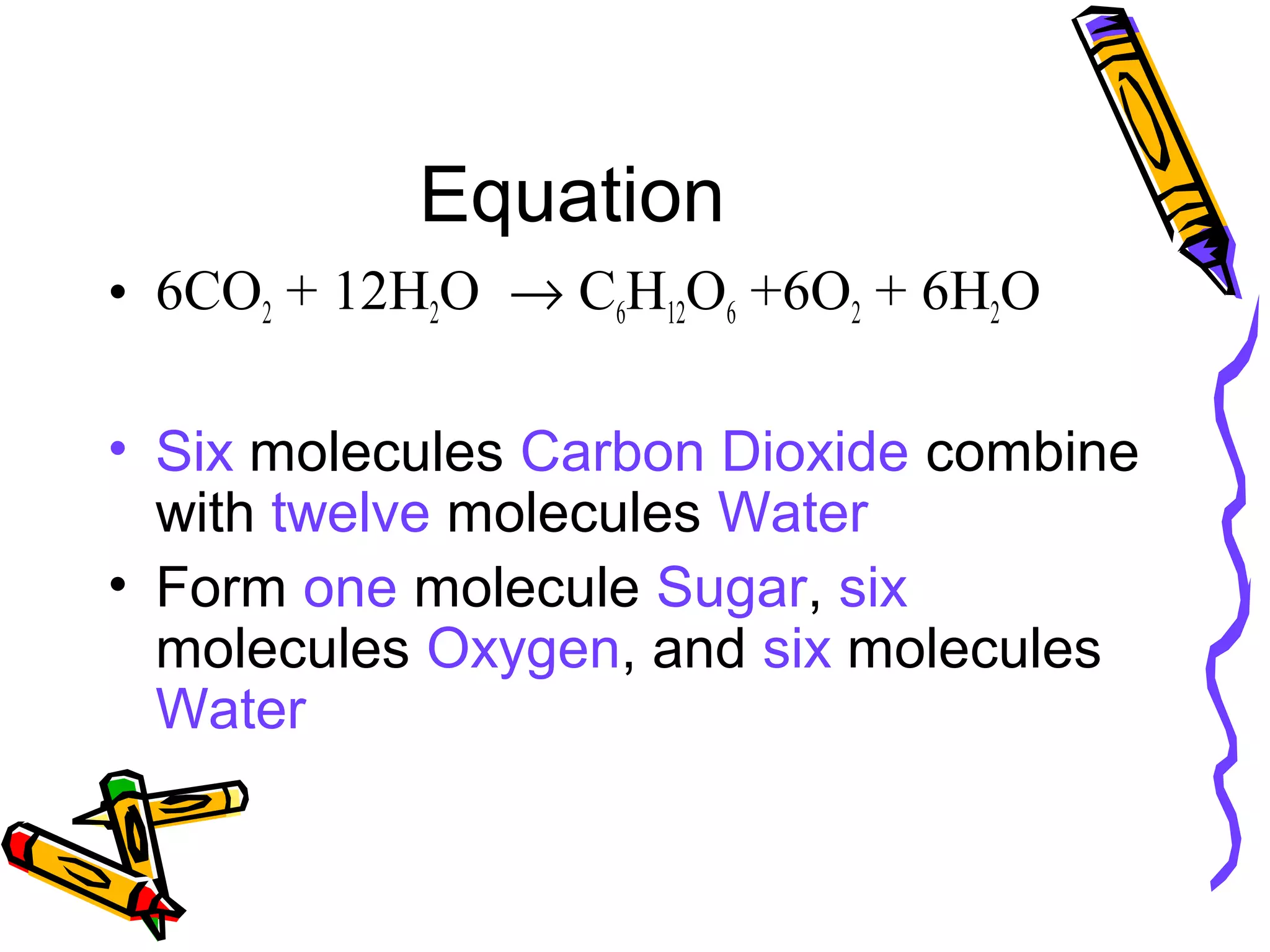 Photosynthesis Lesson 2 | PPT