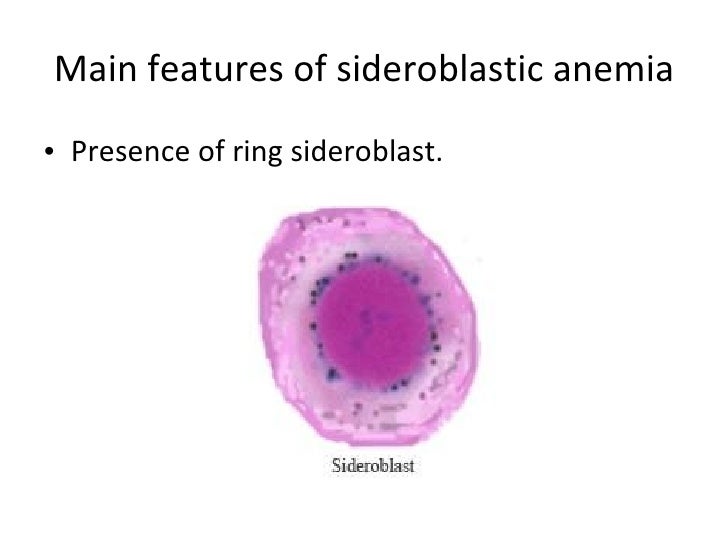 Making the diagnosis in hematology