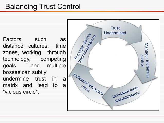 Making the matrix work | PDF | Business Administration | Business