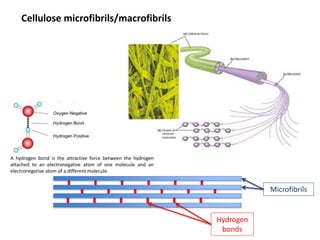 Making use of biodiversity | PPTX | Gardening | Home & Garden