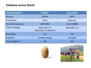 Making use of biodiversity | PPTX | Gardening | Home & Garden