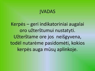 Makonf2015 kerpes | PPTX