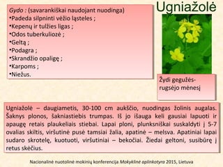 Makonf2015 vaistiniai augalai_parke | PPT