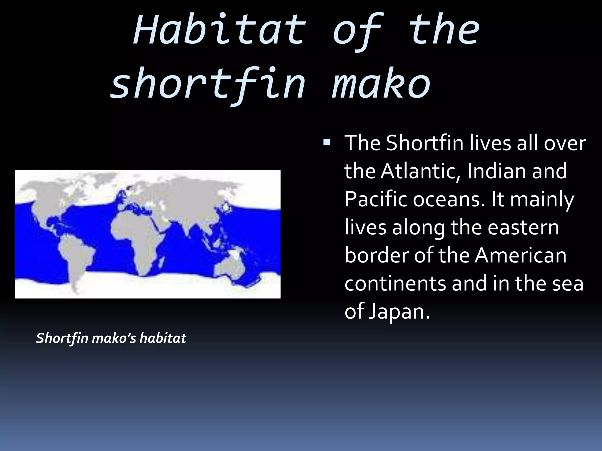Mako shark ppt | PPTX
