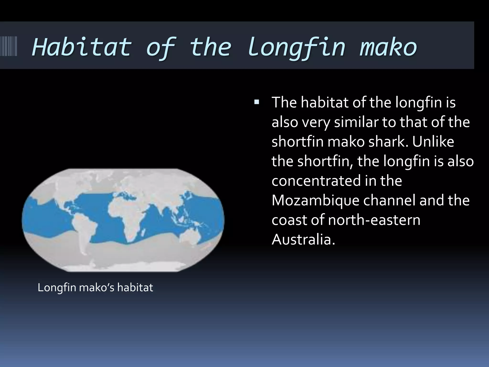Mako shark ppt | PPTX