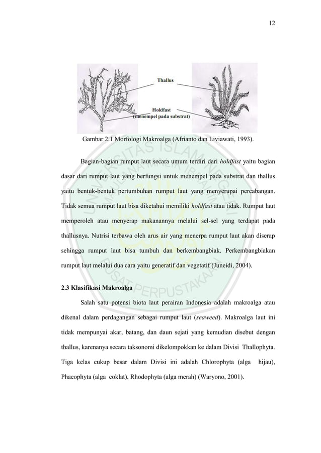Makro Alga khususnya diperairan Indonesia.pdf