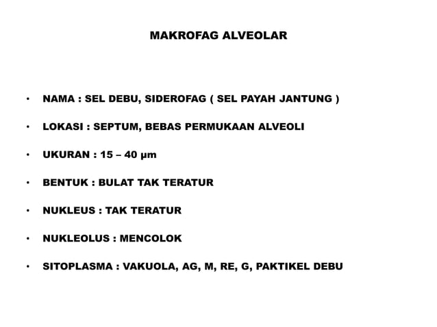 Makrofag alveolar | PPTX