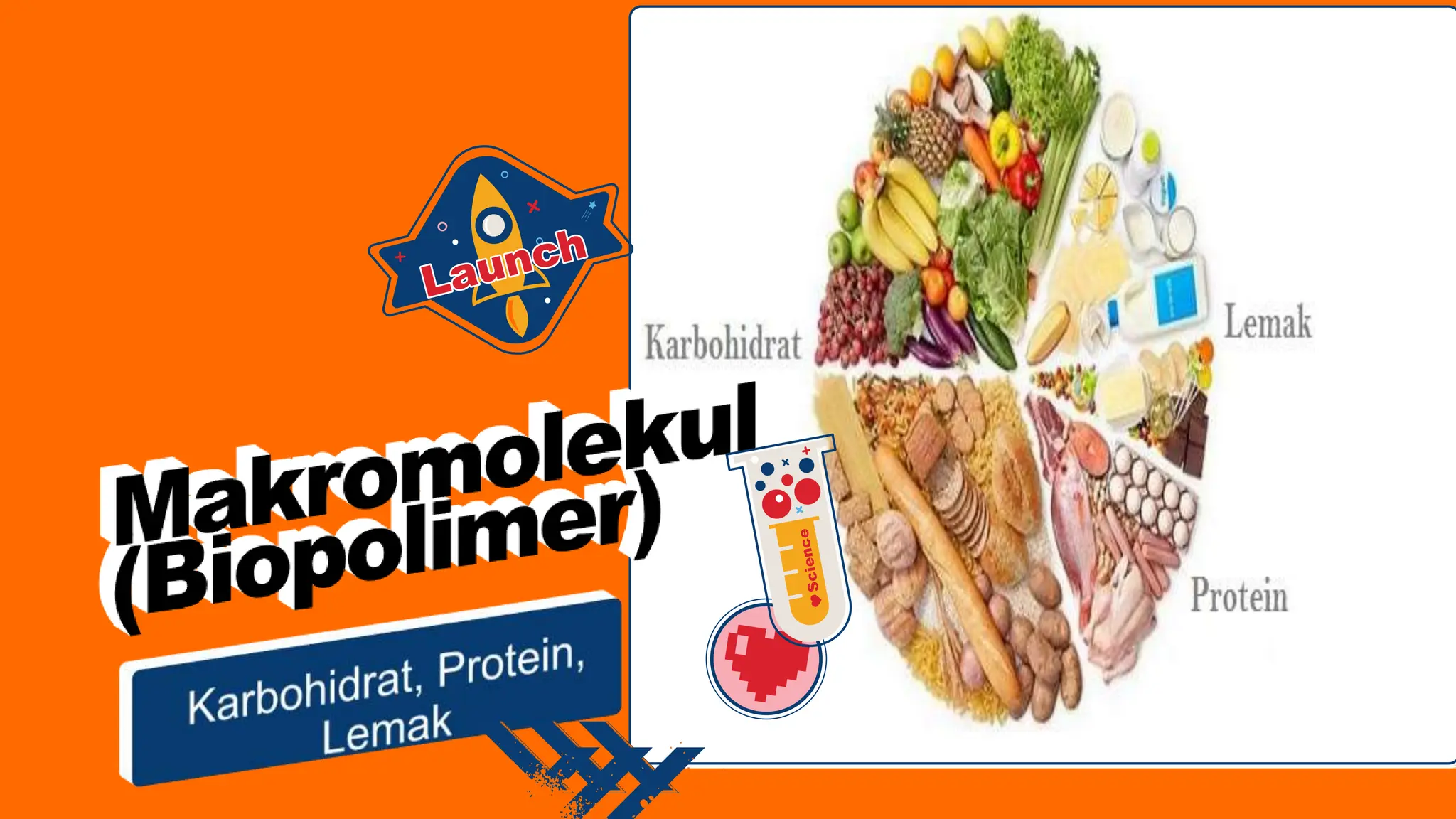 Makromolekul : karbohidrat_protein_lemak | PPTX