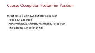 MAL-POSITION AND MALPRESENTATION PPT.pptx