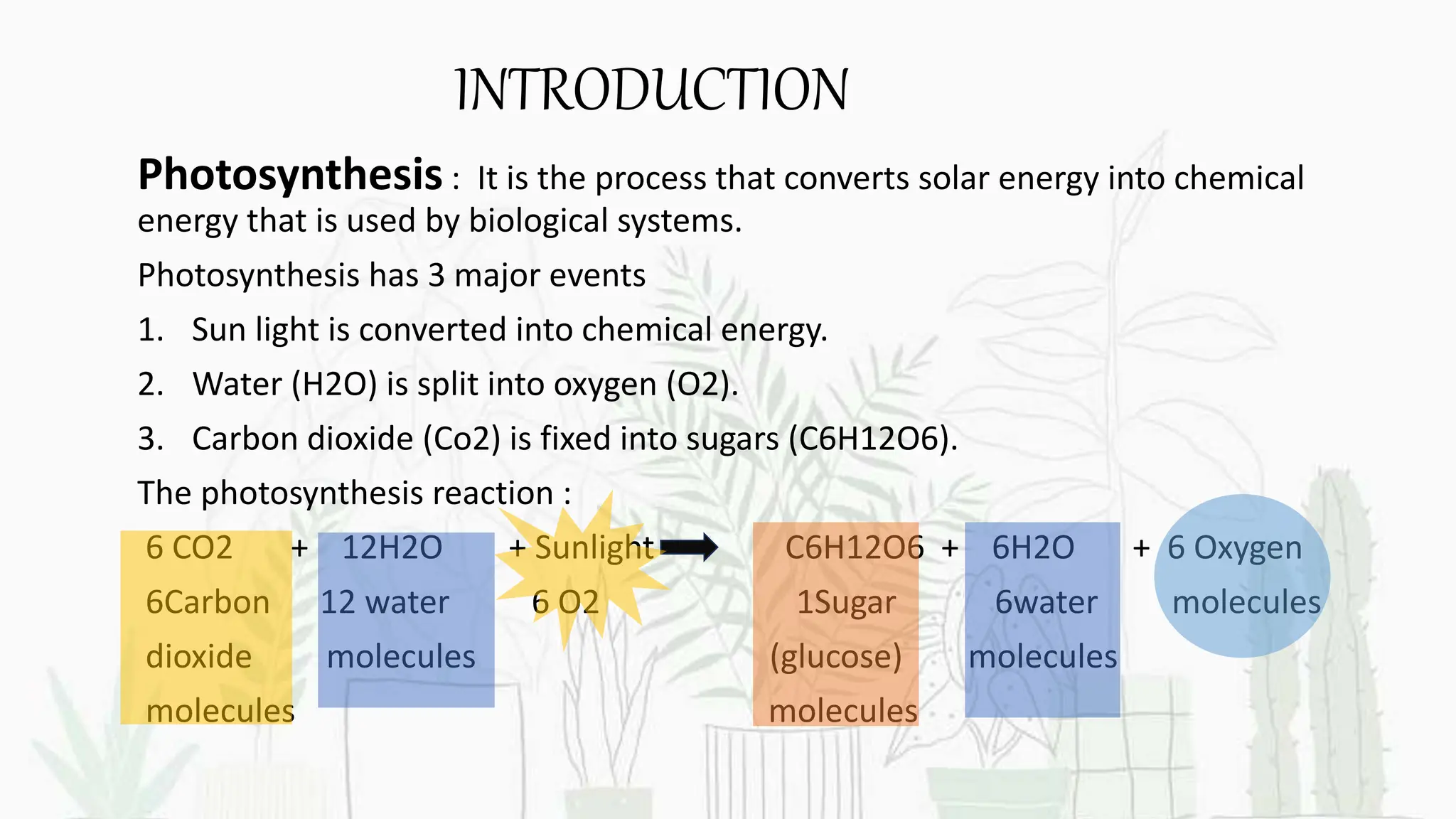 Photosynthesis, introduction, mechanism factors | PPT