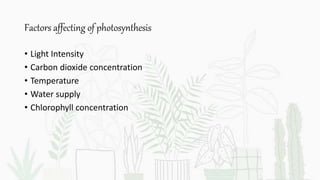 Photosynthesis, introduction, mechanism factors | PPT