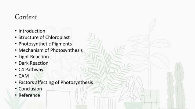 Photosynthesis, introduction, mechanism factors | PPT