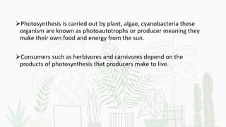 Photosynthesis, introduction, mechanism factors | PPTX