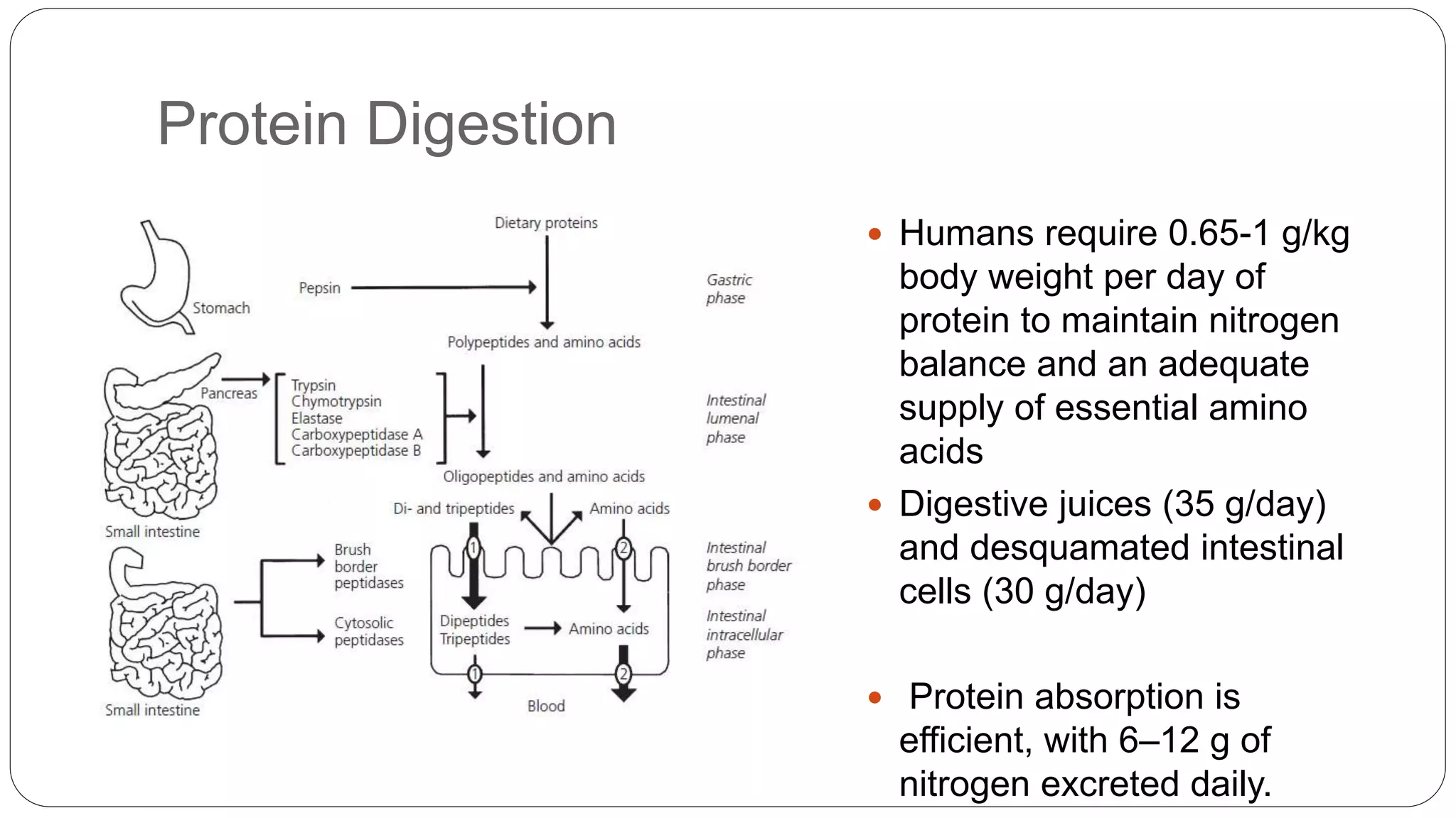 Malabsorption approach | PPT
