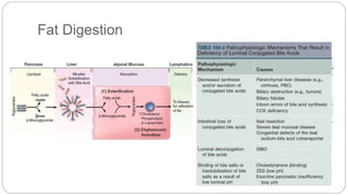 Malabsorption approach | PPTX