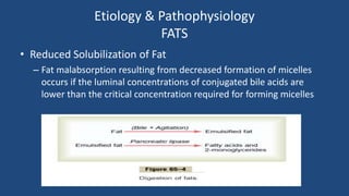 Fat, protien, lipids, carbohydrate Malabsorption and Chronic ...