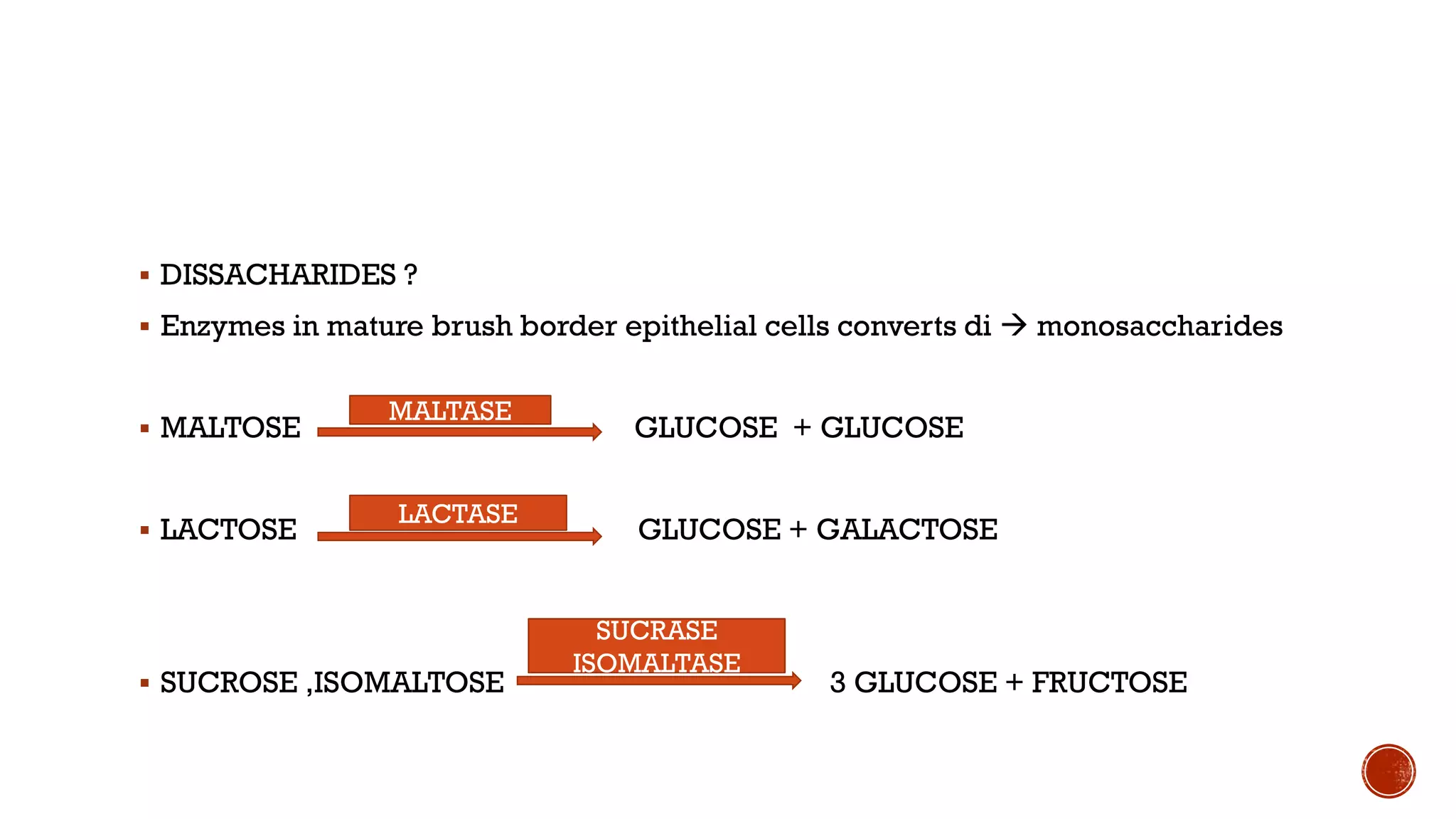 Malabsorption in children | PDF