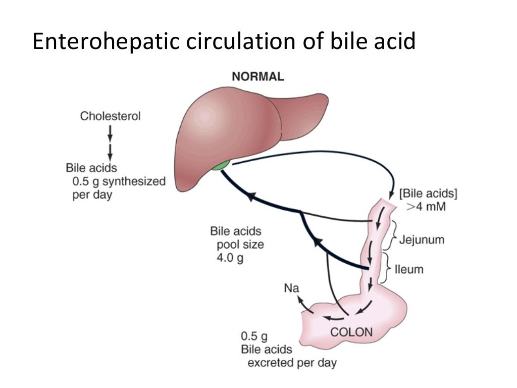 Malabsorption syndrome ppt