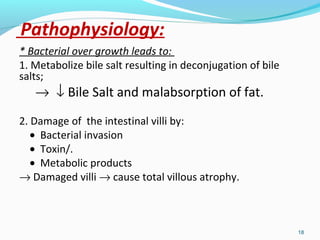 malabsorptionsyndrome-141120082515-conversion-gate02.pdf