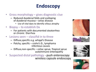Malabsorption syndrome: pathophysiology and diagnosis. Teaching slides ...
