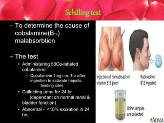 Malabsorption syndrome | PPTX