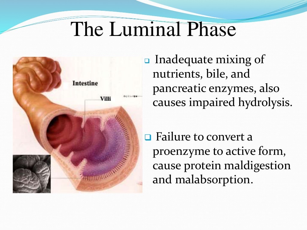 Malabsorption syndromes