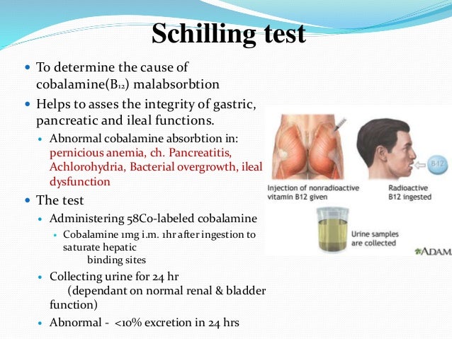Malabsorption syndromes