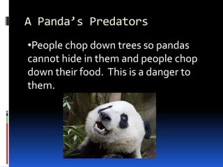 Malachi's powerpoint | PPT