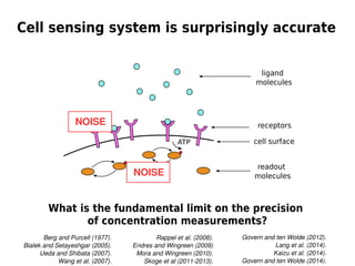 How can cells precisely measure time-varying external signals? - Giulia ...