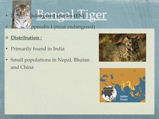 Malaika ess species presentation | PPT
