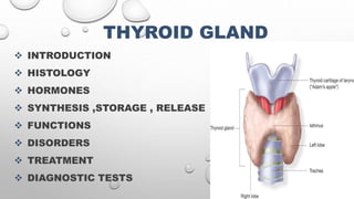 Thyroid gland and its disorders | PPTX