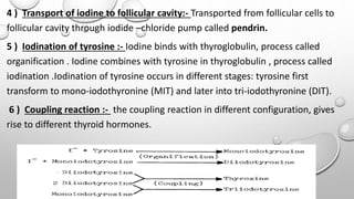 Thyroid gland and its disorders | PPTX